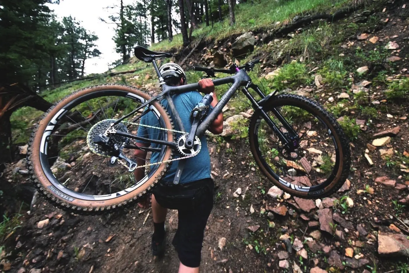 Contact | Calfee Design